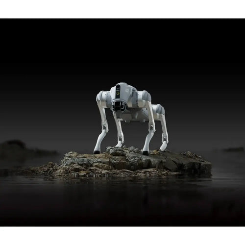 Unitree Go2 PRO ロボット犬 - RobotShop Unitree Go2 PRO ロボット犬 - RobotShop